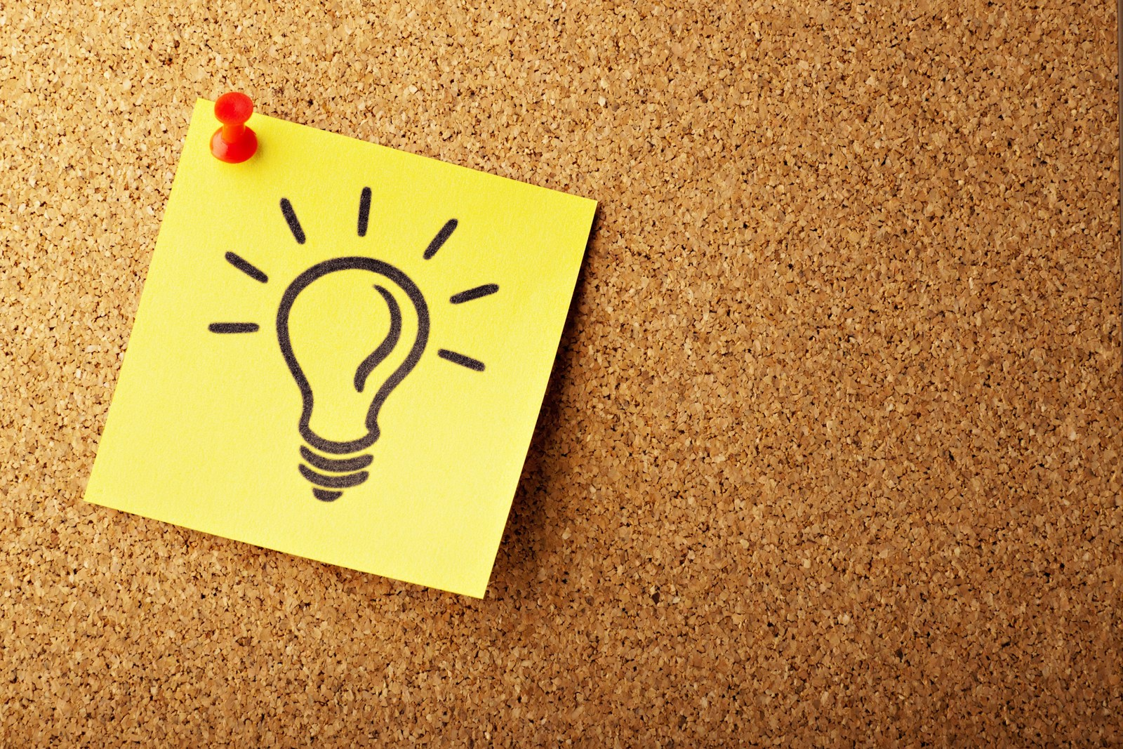 Somerset Council’s Scoping Consultation (Regulation 20) – June to July ...